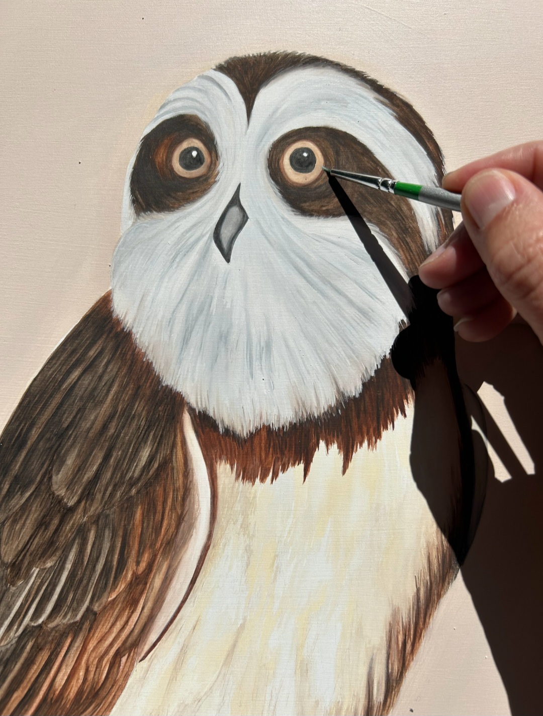 Painting My Favourite Animals | Gosford Regional Gallery